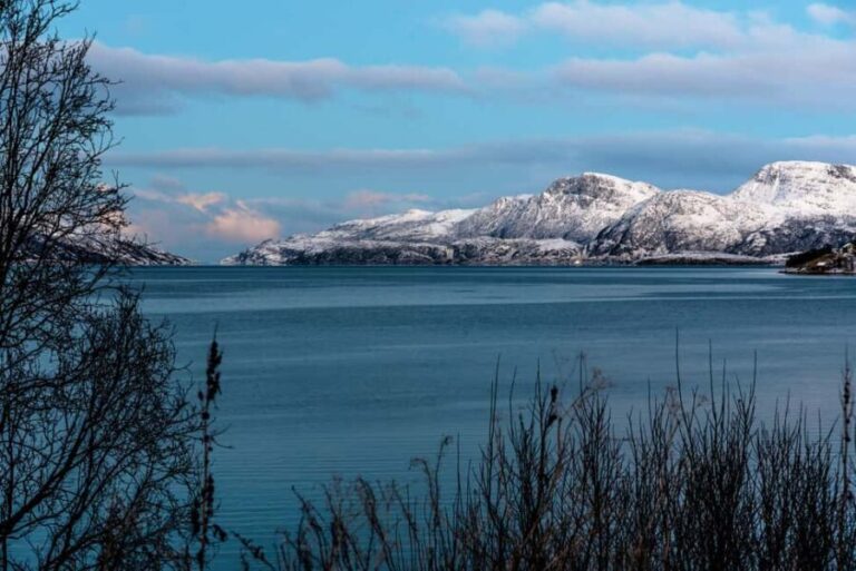 Tromso: Visit 5 Fjords in 4 hours - Analyzing the Value