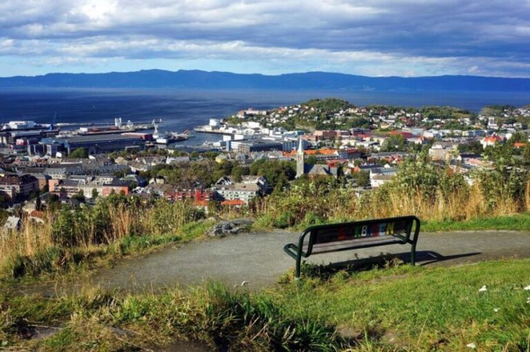 Trondheim: City Highlights Bus and Walking Tour - Who Will Benefit Most from This Tour?