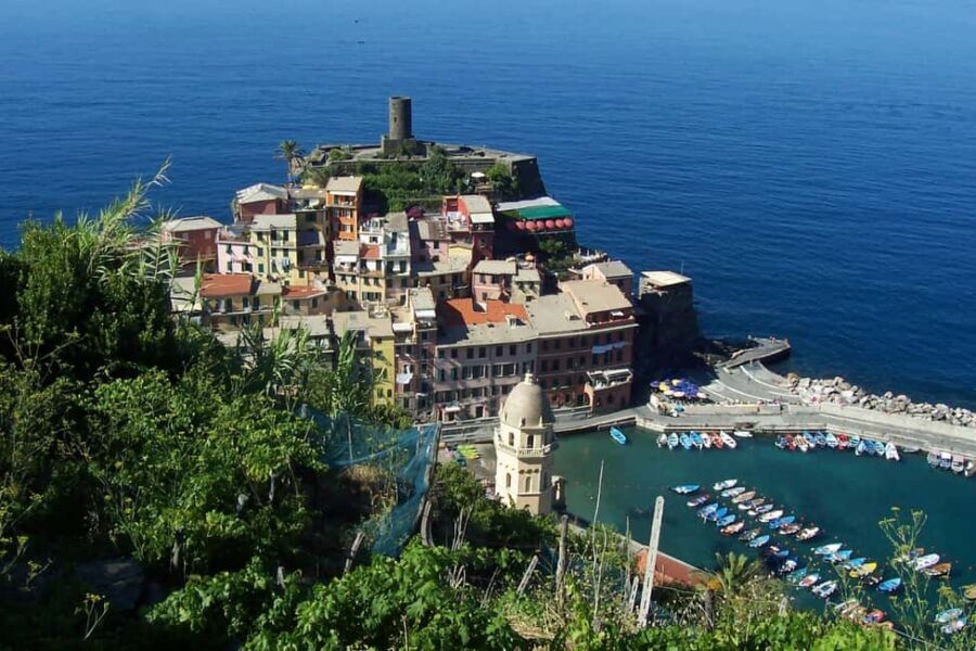 Vernazza (5 Terre): olive grove tour and oil and wine tasting