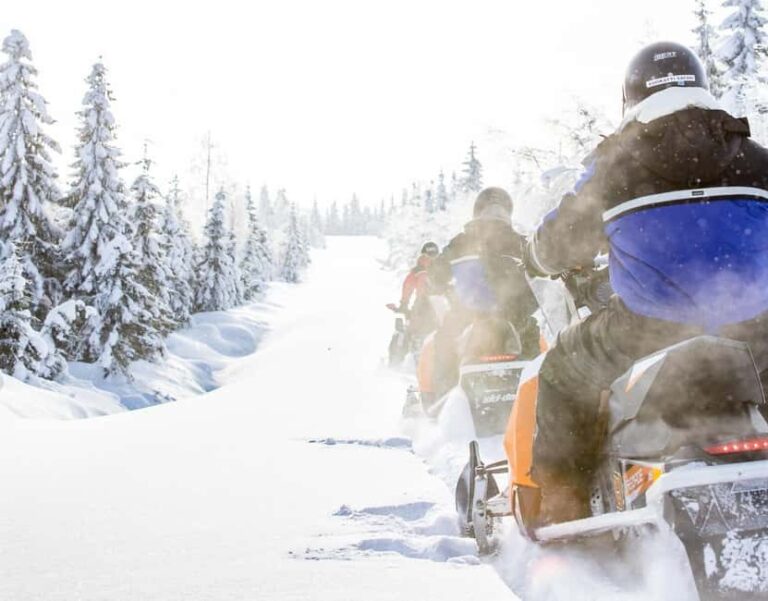 Vuokatti: Snowmobile Safari with Snacks and Hot Drinks - What You Can Expect from the Snowmobile Safari