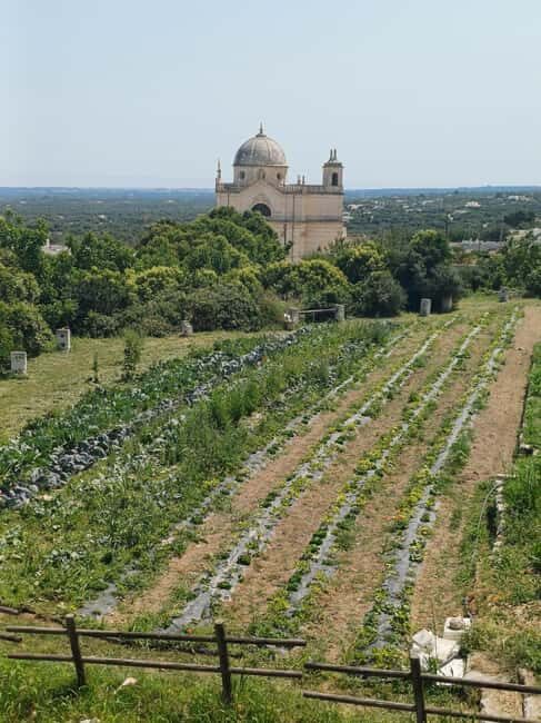 Walk and Aperitif in the Secret Gardens of Ostuni - A Scenic Ending with Tasting and Views