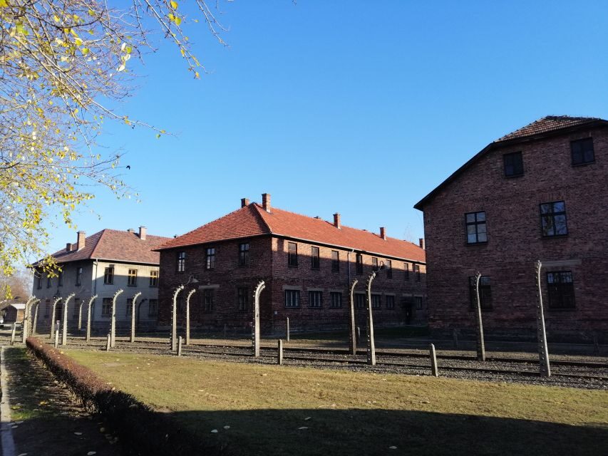 Warsaw: Tour to Krakow and Auschwitz by Train with Pickup