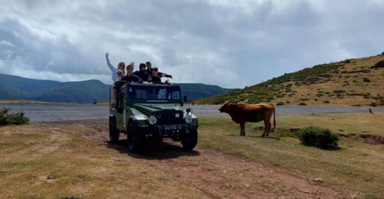 West Safari - The natural pool Porto Moniz Open Roof Jeeps - Who Should Consider This Tour?