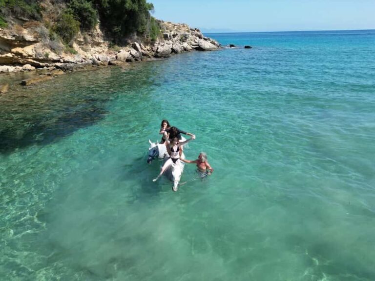 Zakynthos: Yotomu Horse Riding and Swimming Experience - Key Points