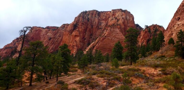 Zion National Park - Kolob Terrace: 1/2 Day Sightseeing Tour - FAQ