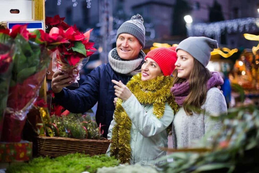Zurich: Enchanted Christmas - A Festive Private Walking Tour