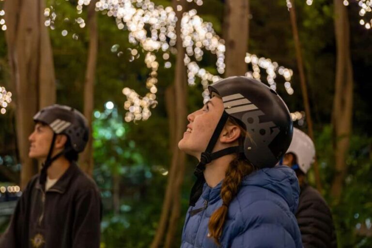 2.5 Hour Brisbane: Sightseeing Tours - Morning & Night - The Itinerary: What You’ll See and Do