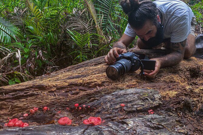 2-Hour Mushroom Photography Activity in Cairns Botanic Gardens - Why this Tour Offers Good Value