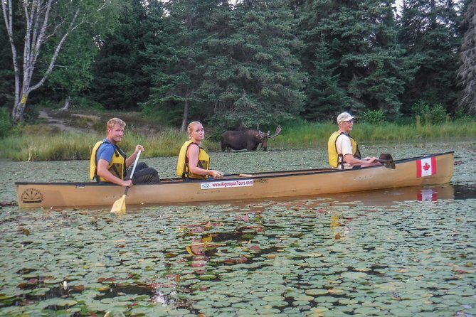 3 Day Algonquin Park Canoe Trip - Moose & Beaver Safari - What’s Included and What’s Not