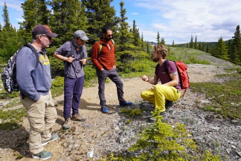 4 Hour Off-Trail Wilderness Wonders Tour in Denali - Practical Considerations