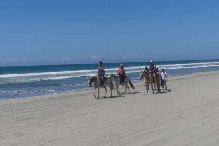 -Acapulco: Horseback Ride Exp. Crocodile Farm, and City Tour - A Practical Look at the Tour Experience