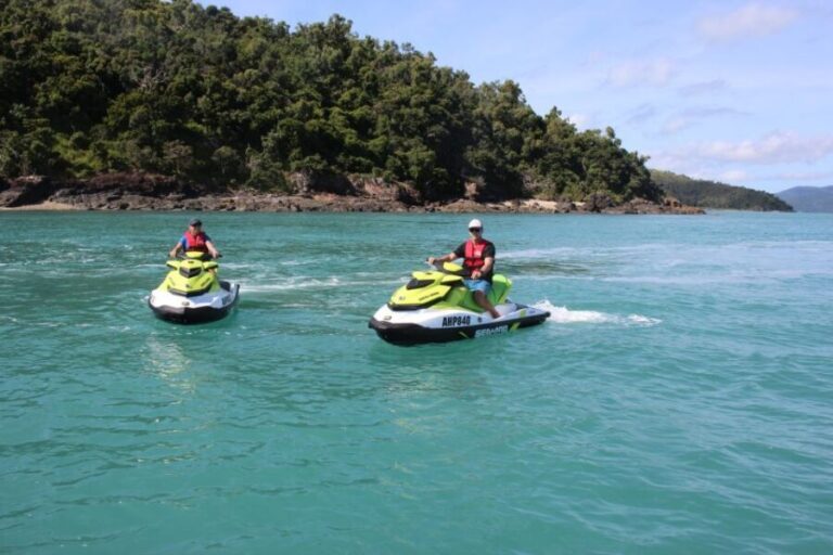 Airlie Beach: Jet Ski Safari Hour of Power and Marine Life - What to Expect on the Day
