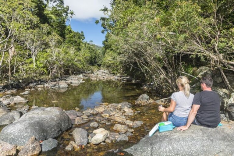 Airlie Beach: Segway Rainforest Discovery Tour - The Practicalities: What You Need to Know