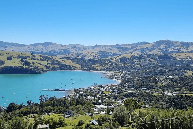 Akaroa and Akaroa Dolphins Day Tour - Alpaca Encounters at Shamarra Alpacas