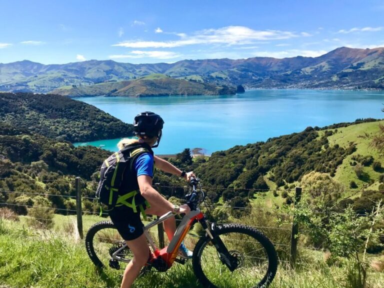 Akaroa: Guided Electric Mountain Bike Tour-Lava Loop - Exploring the Lava Loop: A Truly Scenic Mountain Bike Adventure