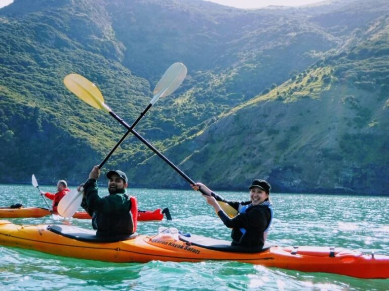 Akaroa: Guided Sunrise Sea Kayaking Tour - Why This Tour Stands Out