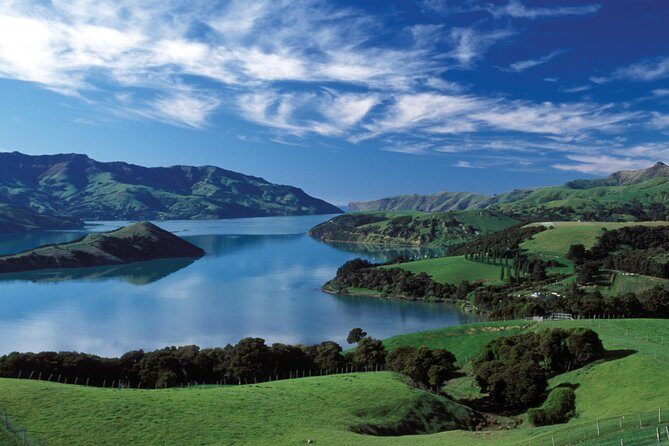 Akaroa Shore Excursion: Akaroa Harbour and Giants House Local Tour - What Travelers Say