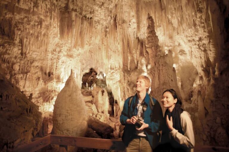 Aranui Cave 1-Hour Guided Tour - Why This Tour Matters for Your Trip
