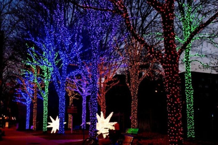 Atlanta: Christmas Private Walking Tour - A Close Look at the Itinerary and Experience