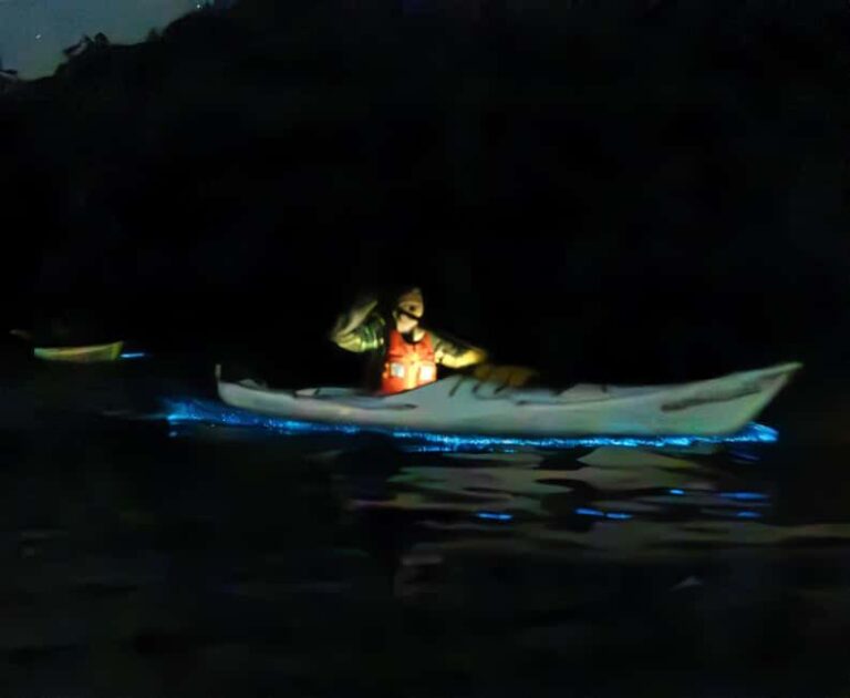 Auckland: Bioluminescence Kayak Tour - From Booking to the Experience: What Youll Need to Know