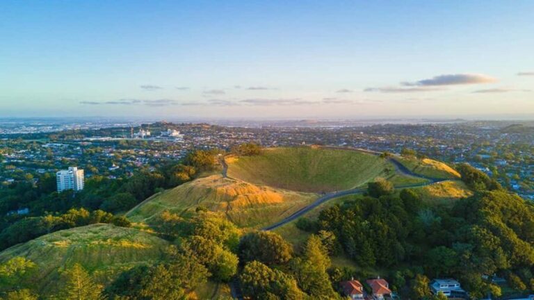 Auckland City Highlights Small-Group Tour (Half-Day) - What to Expect