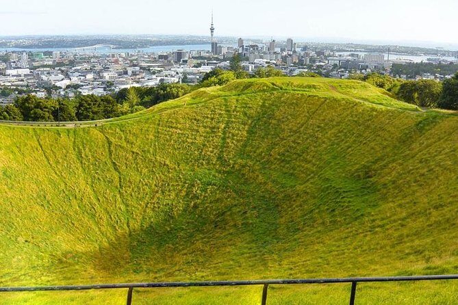 Auckland City Tour  Fast, Fun & Full of Views! (Half-Day) - Who Should Book This Tour?