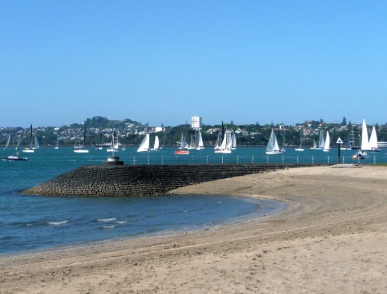 Auckland: Half-Day Private City Highlights Tour - A Practical and Personal Look at This Auckland Tour