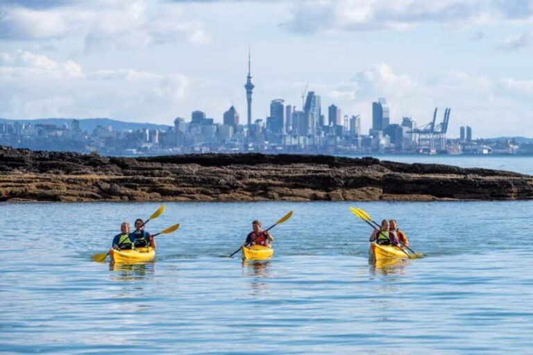Auckland: Half-Day Sea Kayak Tour to Motukorea Island - Who Should Consider This Tour?