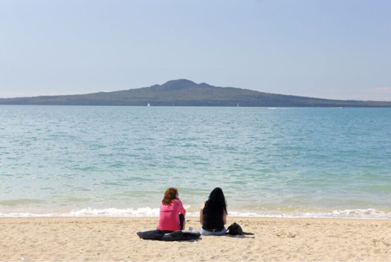 Auckland Scenic Half-Day City Sightseeing Tour - What to Expect on This Tour