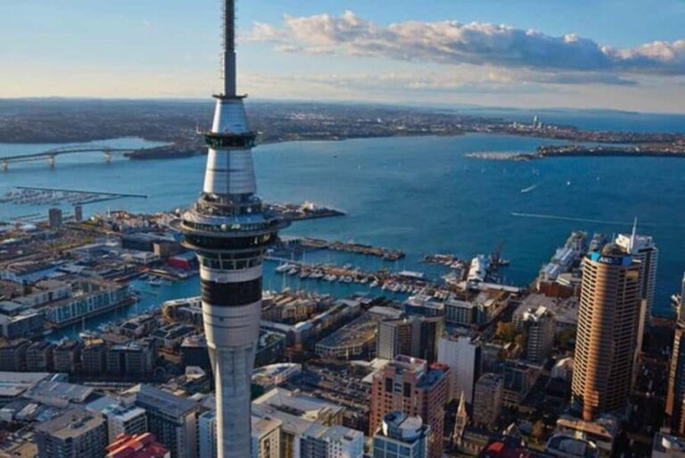 Auckland: Waiheke Island Wine and Food Tasting with Flights - The Flying Experience: More Than Just Transportation