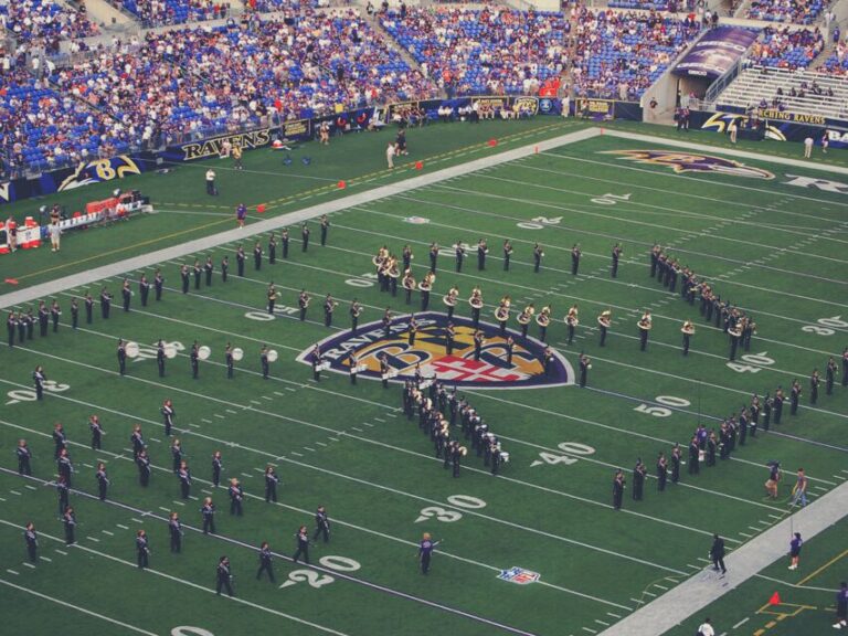 Baltimore: Ravens Football Game Ticket at M&T Bank Stadium - What to Expect: The Game Day Experience
