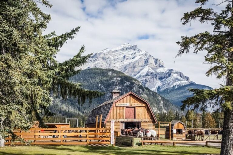 Banff National Park: 1-Hour Bow River Horseback Ride - Price and Value Proposition