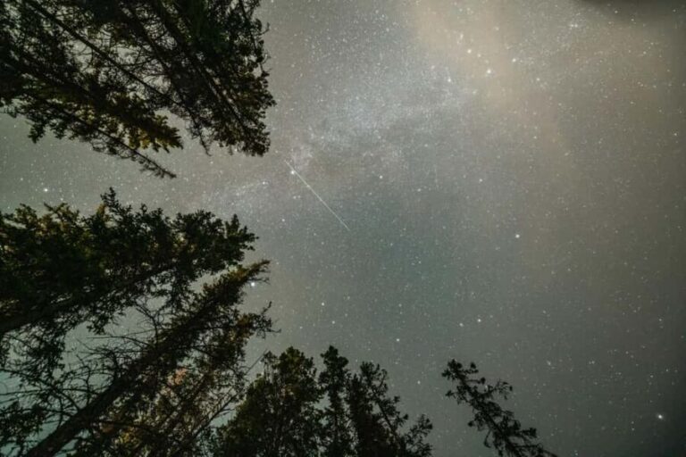 Banff National Park Sunset and Stars Walking Tour - Practical Considerations