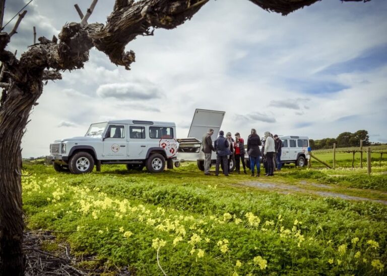 Barossa Valley: Two Hands Flagship Vineyard Experience - What We Love About This Tour