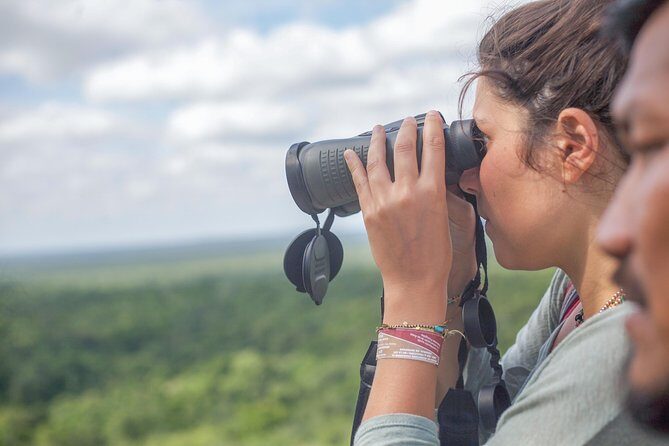 Birdwatching at The Mayan Cities with certified guide - What to Expect from the Birdwatching Experience