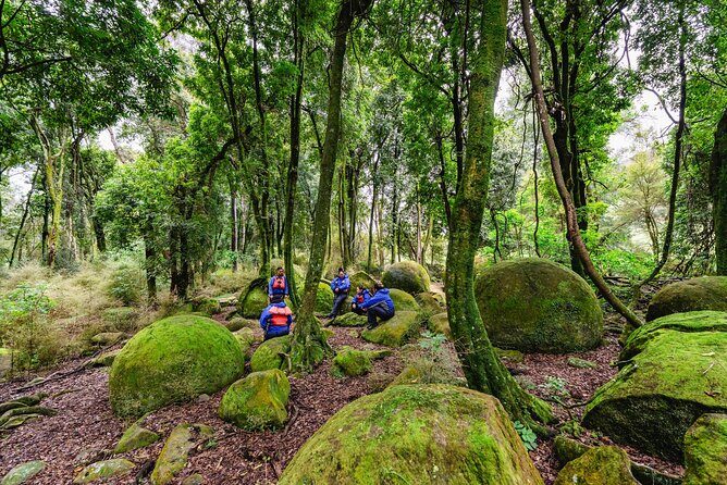 Boulders Scenic Float Tour on the Rangitikei River - What You’ll See and Do