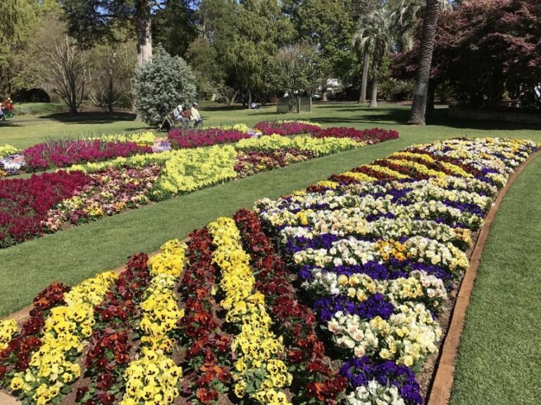 Brisbane: Personal Southeast Queensland Tour - What Makes This Tour Stand Out