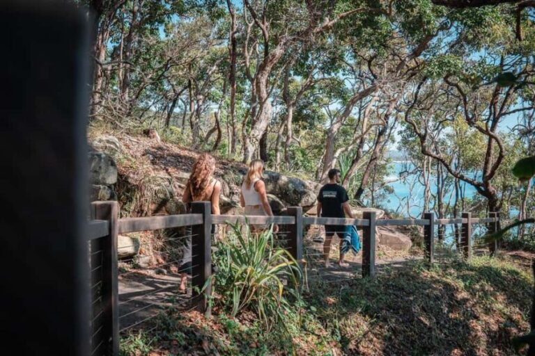 Brisbane: Sunshine Coast Hinterland & Noosa Small Group Tour - What Makes This Tour Stand Out?