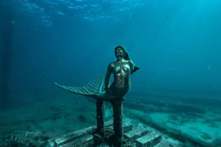 Busselton: Jetty Discover Scuba Diving Experience - Why This Tour Stands Out