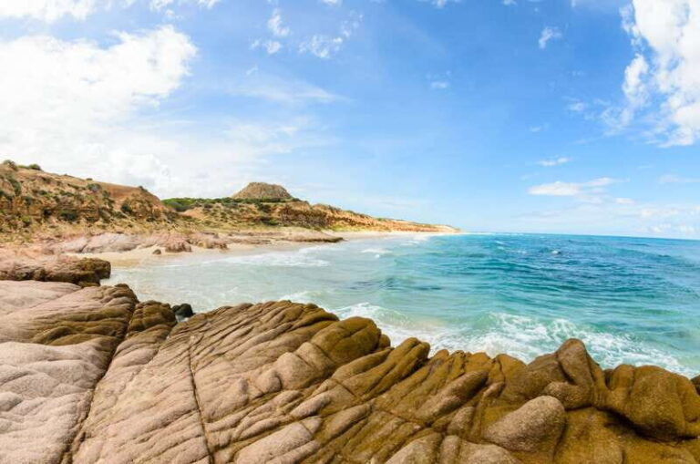 Cabo San Lucas: Cabo Pulmo Snorkeling Expedition - Exploring Cabo Pulmo Marine Park