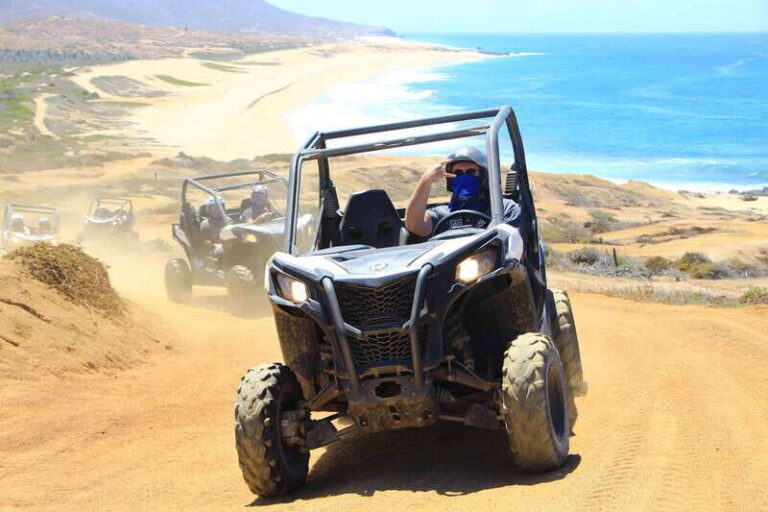 Cabo San Lucas: Camel Ride & Off-Road UTV Combo Adventure - What You’ll Do Step-by-Step