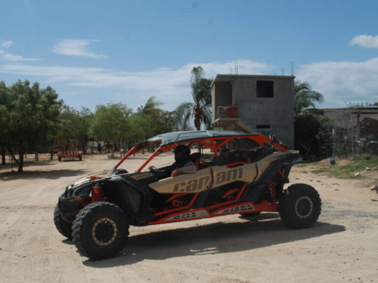 Cabo San Lucas: Migriño Beach & Desert UTV Adventure - The Itinerary: What to Expect