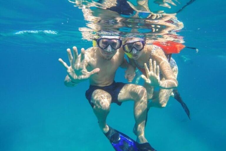 Cabo San Lucas: Snorkeling and Sailing Cruise with Lunch - Who Will Love This Tour?
