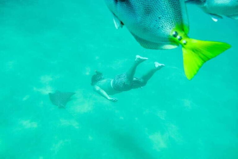 Cabo San Lucas: Snorkeling at Lovers Beach - The Itinerary: What to Expect