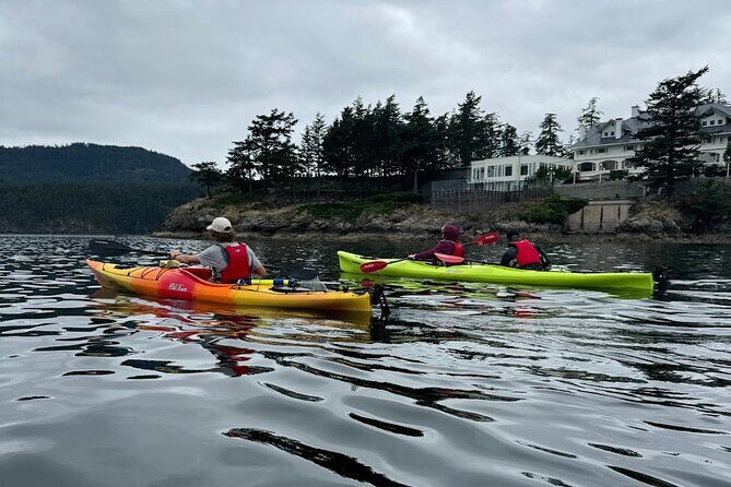 Cafes and Kayaks: Full Day Kayaking Adventure on Orcas Island - Why This Tour Is a Great Choice