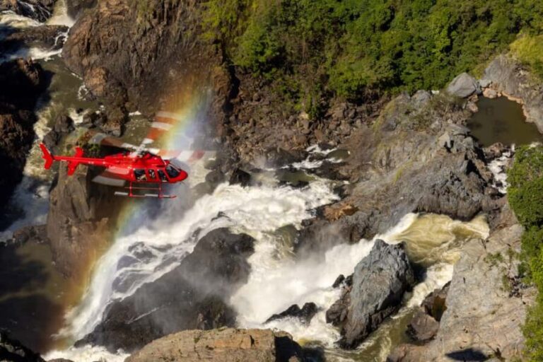 Cairns: 60 minute Scenic Flight Over the Reef & Rainforest - Who Will Love This Tour?