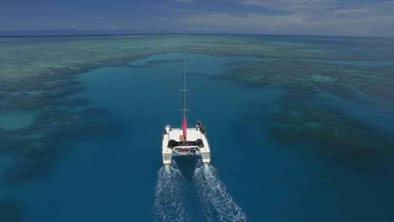 Cairns: Great Barrier Reef Snorkeling Tour with Lunch - Key Points