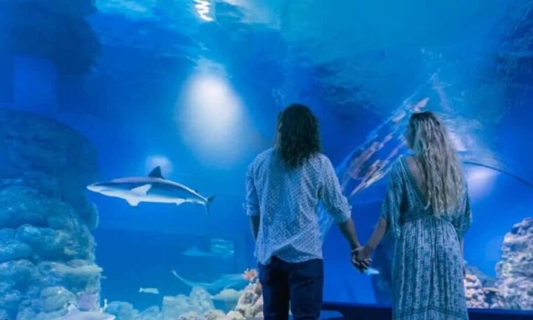 Cairns: Hot Air Balloon Flight & Cairns Aquarium Entry - Practicalities and Planning Tips