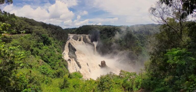 Cairns: Waterfall, Wetlands and Skyrail - Final Thoughts