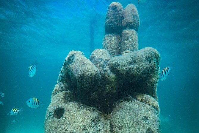 Cancun Adventure: Reef Snorkeling & Parasailing Experience - Who Will Love This Tour?